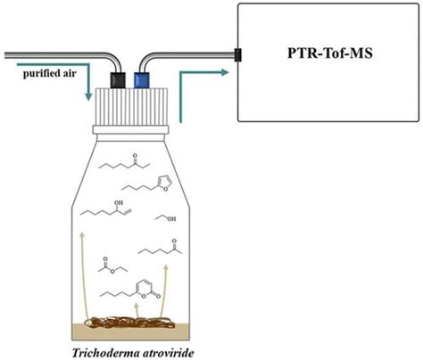 展示质子转移反应质谱法实时定量真菌寄生真菌深绿色木霉释放的挥发物的适用性：基于木霉的生物农药的监测 Journal Of The American Society For Mass