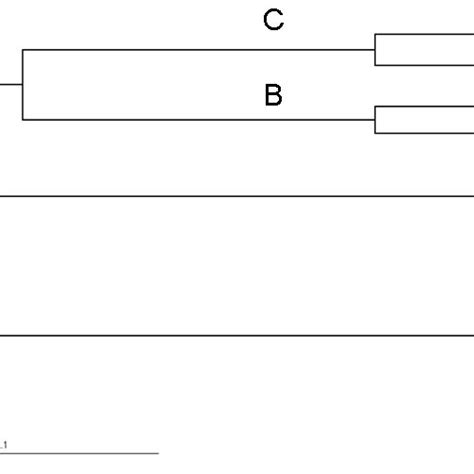 The Upgma Dendrogram Of 23 Durum Wheat Accessions Based On Hmw Gs A B