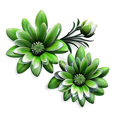 Download Green Flower Wallpaper Png 06202024