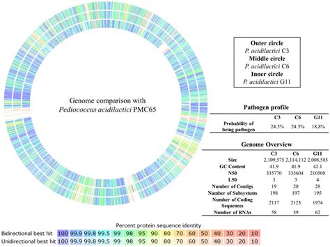 Genome Content And Pathogen Profiles Of 3 Pediococcus Acidilactici