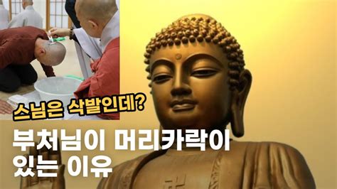 스님은 삭발인데 부처님은 머리카락이 있는 이유 👩‍🦲 Youtube