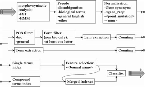 Document Processing Flow Download Scientific Diagram