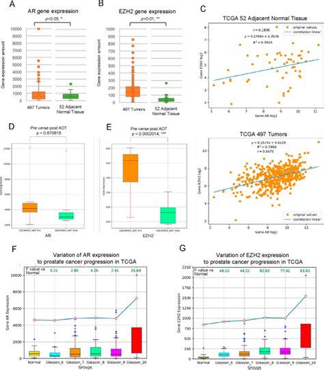 Inhibition Of Enhancer Of Zeste Homolog 2 Ezh2 Overcomes Enzalutamide Resistance In Castration