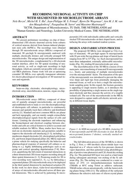 Pdf Recording Neuronal Activity On Chip With Segmented 3d Microelectrode Arrays