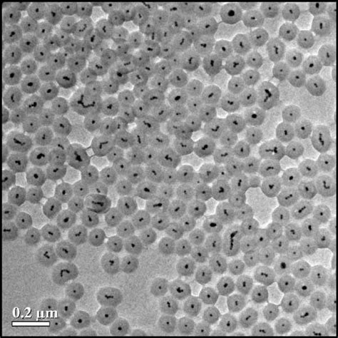 Synthesis Of Ausio2 Coreshell Nanoparticles And Their Dispersion Into