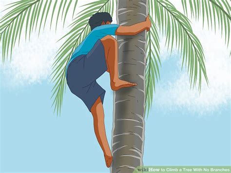 How To Climb A Tree With No Branches
