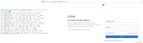 项目管理 之六 详解 Gitlab 本地部署全过程、gitlab Pages、企业版 Patchgitlab本地部署 Csdn博客