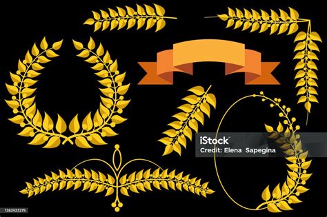 골드 월계수 화환 타원형 프레임 및 검은 색 배경에 디자인을위한 가지 1위에 대한 스톡 벡터 아트 및 기타 이미지 1위 개체 그룹 검은색 Istock