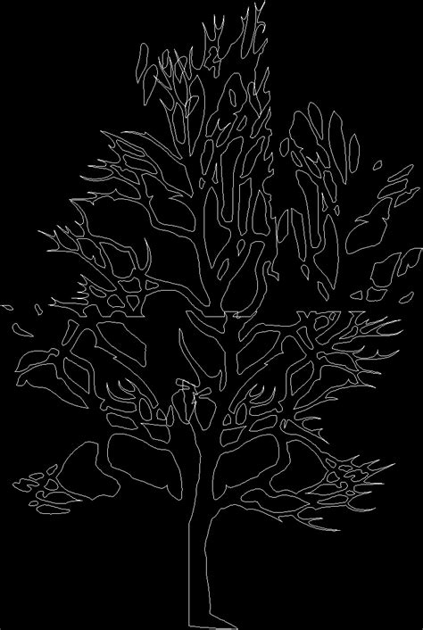 Trees Palms Various Types Of Vegetation DWG Block For AutoCAD Designs CAD