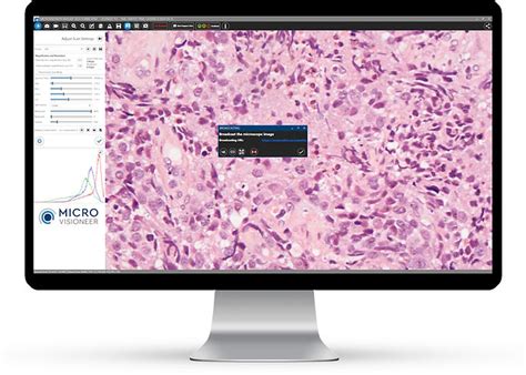 Live Microscope Image Broadcasting