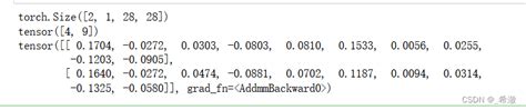 pytorch项目笔记（一）：minst手写体数据集的识别 minist项目 csdn博客