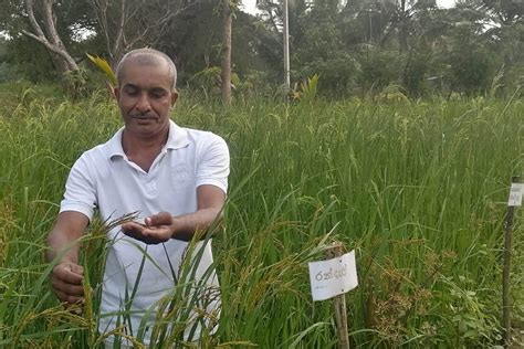 ගෙවත්ත පාරම්පරික බීජ සංරක්ෂණාගාරයක් කළ ග්‍රාමසේවක මහත්තයා