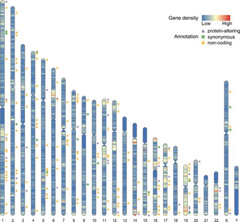 Genomic Distribution And Functional Annotation Of Sle Association
