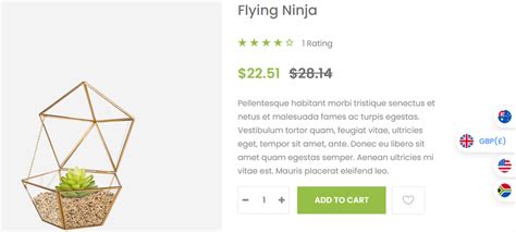 9 Best Woocommerce Currency Switcher Plugins 2023 Gomahamaya