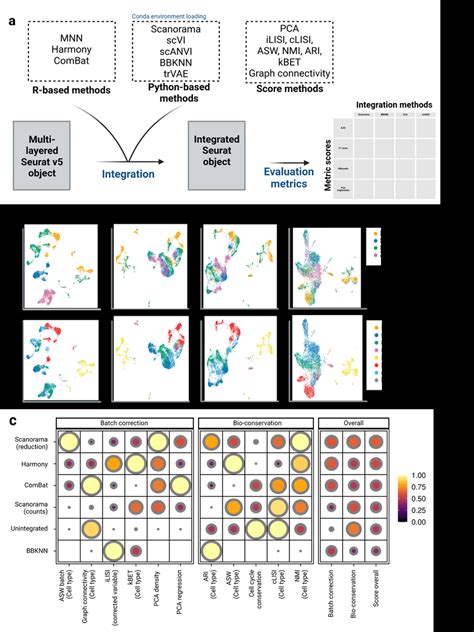 Overview Of Seuratintegrate Workflow Download Scientific Diagram