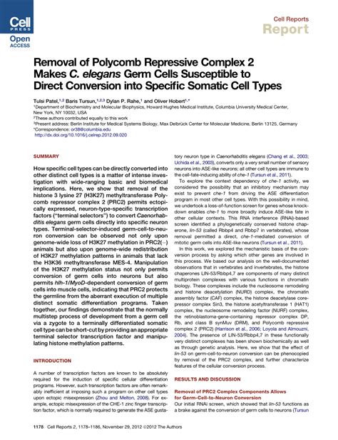 Pdf Removal Of Polycomb Repressive Complex 2 Makes C Elegans Germ Cells Susceptible To Direct