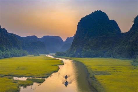 Du Lịch Tam Cốc Mùa Lúa Chín Bức Tranh Thiên Nhiên Tuyệt đẹp Giữa
