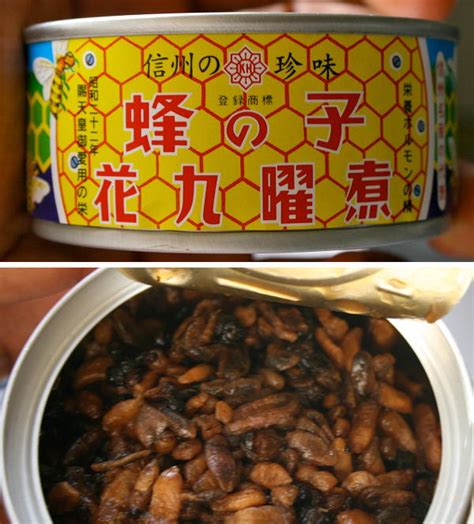 Hachinoko Bee Larvae Viatcheslav — Livejournal