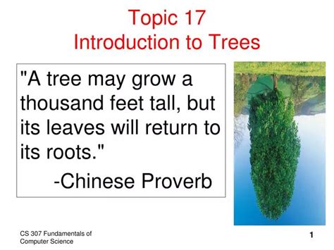 PPT Topic Introduction To Trees PowerPoint Presentation Free Download ID