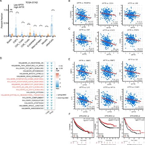 Correlation Between Aptr Expression And Different Clinicopathological