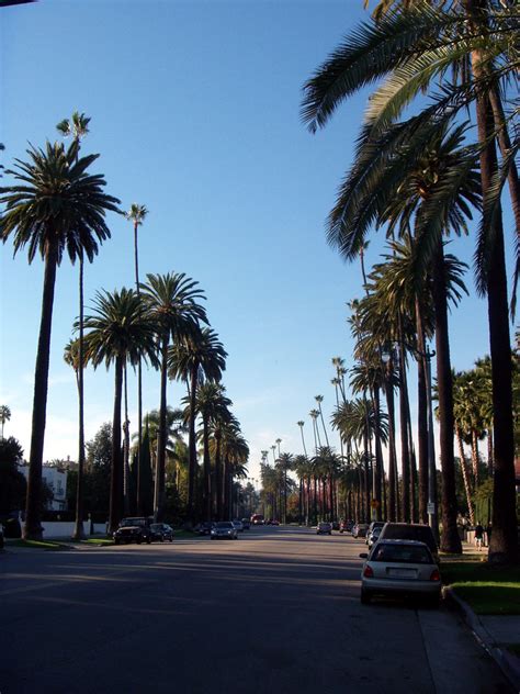 Free Beverly Hills Pictures and Stock Photos