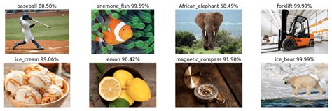 Image Classification Using Pre Trained ImageNet Models In TensorFlow Keras