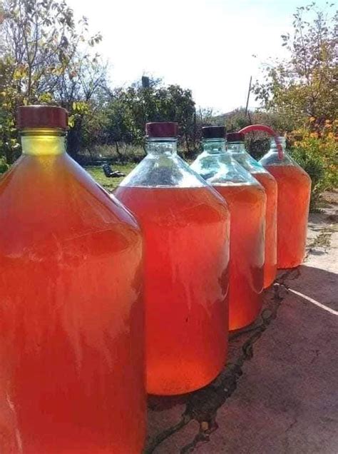 მამულ დედული მამულ დედული Added A New Photo