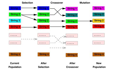 How Genetic Algorithms Are Shaping Ai And Ml