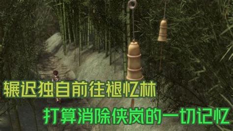 辗迟独自前往褪忆林，打算消除侠岚的一切记忆 高清1080p在线观看平台 腾讯视频