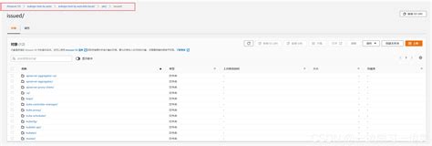 kops部署的kubernetes集群证书到期时间查看 集群查看证书怎么看 csdn博客