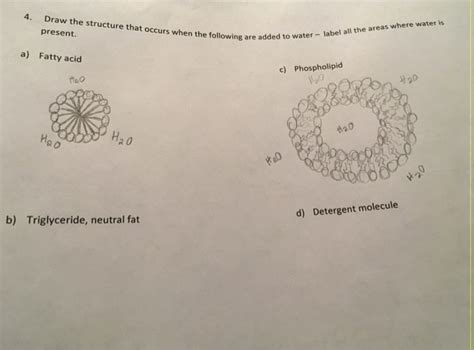 Solved How Do I Draw These Structures For B And D And Chegg