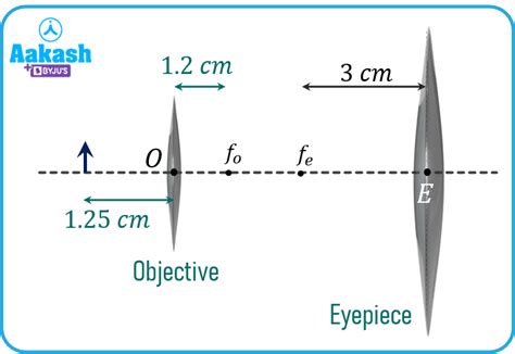 Compound Microscope Diagram Class 12 At Jamie Heyne Blog