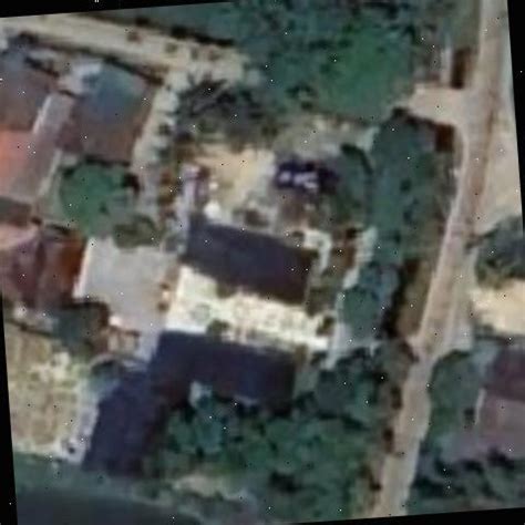 Tree Seg Instance Segmentation Dataset By Test