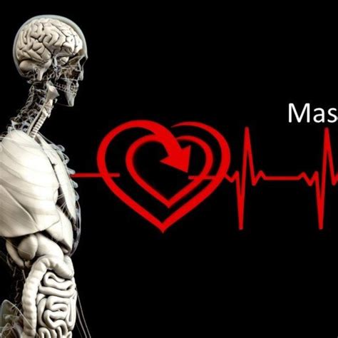 anatomy powerpoint template
