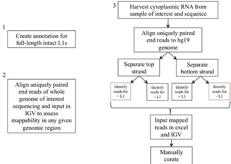 Rna Next Generation Sequencing And A Bioinformatics Pipeline To Identify Expressed Line 1s At