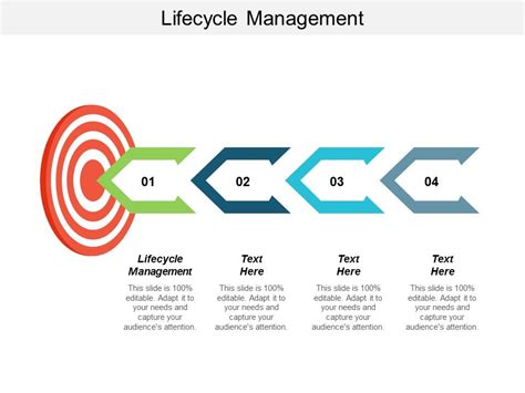 Lifecycle Management Ppt Powerpoint Presentation Portfolio Vector Cpb