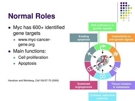 Ppt C Myc A Biological Paradox Powerpoint Presentation Free Download Id 1760350