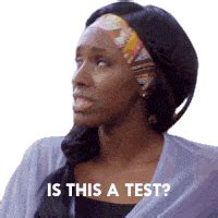 Is This A Test Sara Sticker Is This A Test Sara Virgins Discover