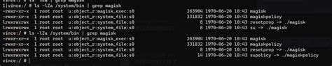 Custom Kernel Erroneously Hides Magisk Su File · Issue 6914