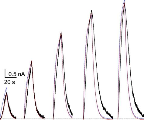 Analysis Of Sensitization By Hysteresis Dependent Models Solid Lines