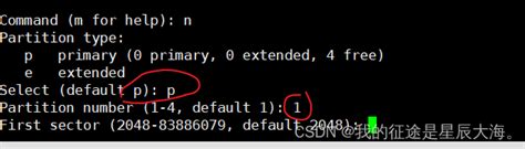 linux系统中添加、分区、格式化及挂载磁盘教程 csdn博客
