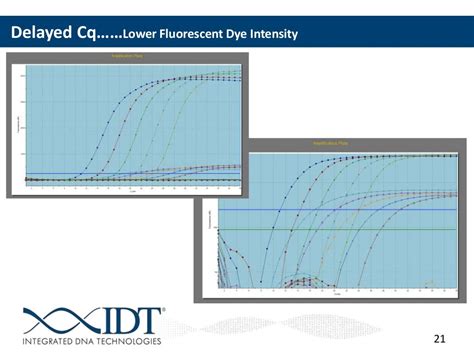 Troubleshooting Qpcr What Are My Amplification Curves Telling Me