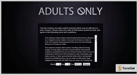 6 Age Verification Wordpress Plugins 2022 Formget