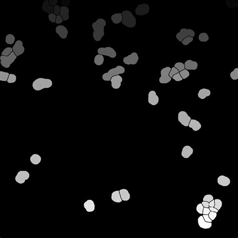 Imagemagick Is Incorrectly Reading A Tiff Image As Black And White When