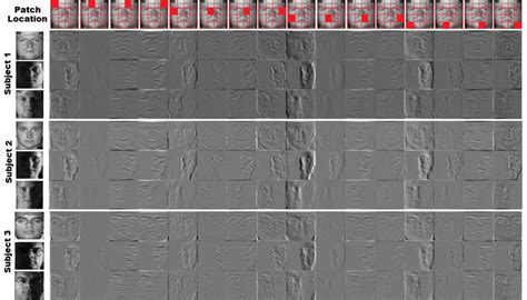 Volterrafaces The Nature Of Learned Volterra Filters Is Shown Here Download Scientific