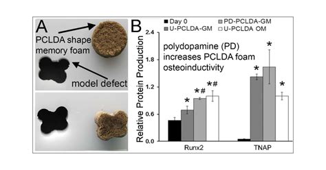 Evaluation Of The Osteoinductive Capacity Of Polydopamine Coated Polyε