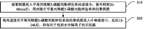 A Recognition Film For Detecting Cadmium Ions In Water Body And Its