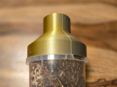 fruit fly feeding helper dart frog lizard by andrejsk makerworld