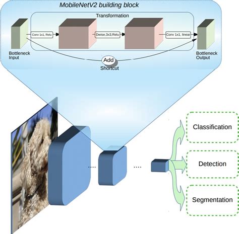 Deep Learning Based Object Detection And Surrounding Environment