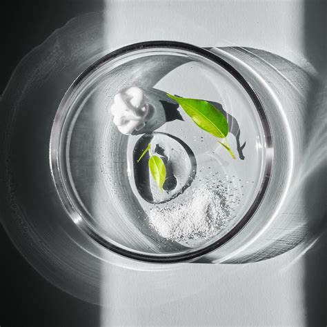 Sisel International Safe Health Wellness And Fitness Supplements Register